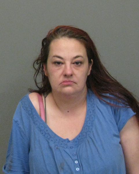 Jamestown woman charged with 10 counts of animal cruelty | News, Sports ...